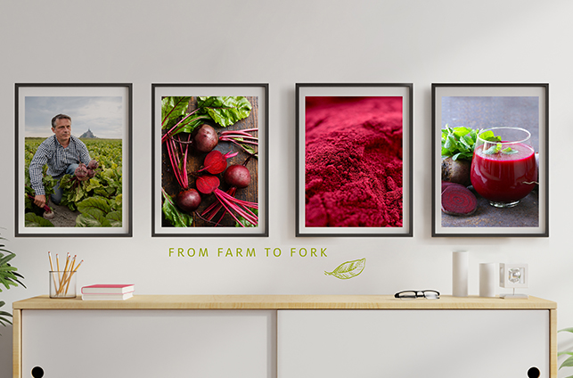 Your trusted partner in natural ingredients - Diana Food