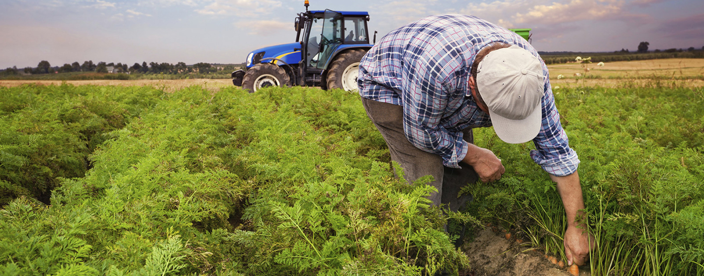 Sourcing & sustainability - diana food™